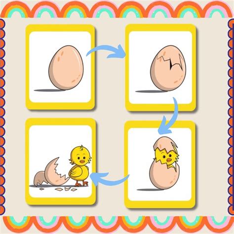 Sequence Scramble The Joy Junction