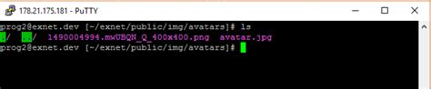 Laravel Problems Apache Is Serving Old Images