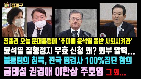 정총리 오늘 문대통령에 추미애 윤석열 동반 사퇴시켜라윤석열 집행정지 무효 신청 왜 외부 압력전국 평검사 100집단