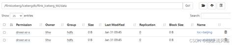 第八章 flink集成iceberg的datastreamapi、tablesqlapi详解 flink1 14 2版本与iceberg0