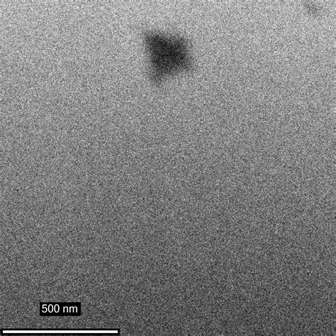 Abstract Ms 6 P 1521