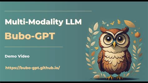 Bubogpt Enabling Visual Grounding In Multi Modal Llms Youtube