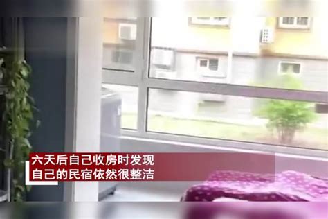 东北房客租6天民宿做饭民宿老板收房时被惊呆出现幻觉了 东北 房客