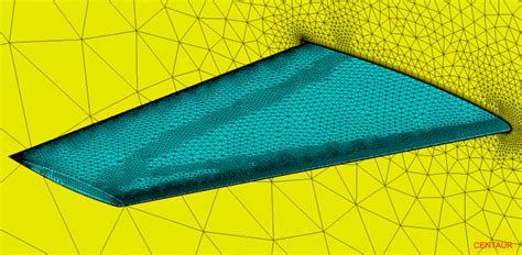 Mesh Refinement Coarsening CENTAUR Software