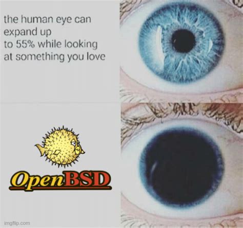 Ah Love R Bsdmemes
