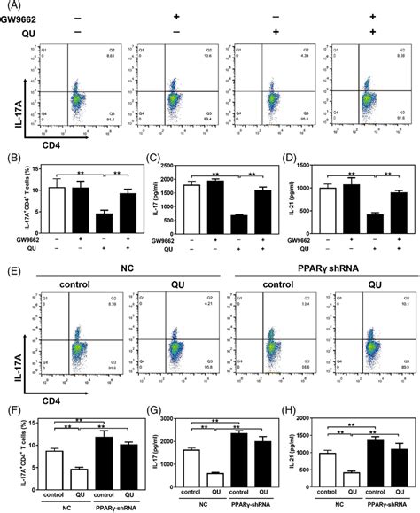 Effect Of Inhibition Of Qu On The Differentiation Of Th17 Cells Is