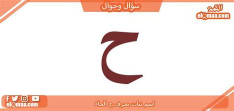 اسم نبات بحرف ح الحاء وجميع المعلومات عنه موقع القمة