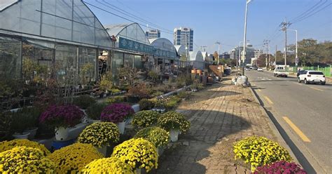 서미숙의 집수다 12년 만에 풀리는 강남 그린벨트땅값 올라 거래는 안 돼