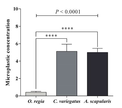 Column Bar Graph Of The Comparison Download Scientific Diagram
