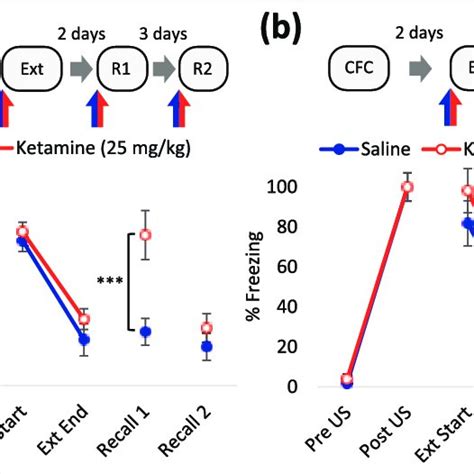 Example Generalization Gradients From Linear And Similarity Subgroups Download Scientific