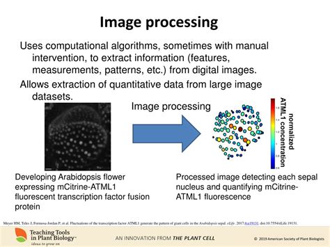 ppt computational image processing in microscopy powerpoint