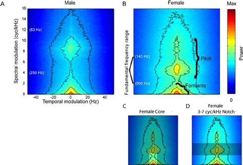Spectral Modulations Differ In Male And Female Speech Ab The Mps Of