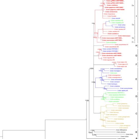 Bayesian Phylogram Based On Its Sequences Excluding The S Region
