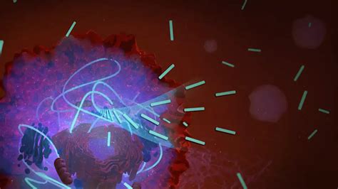 Self Assembling Molecules Suffocate Cancer Cells Within Hours Impact Lab