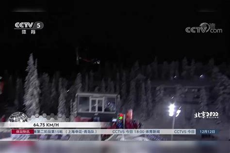 中国队夺得自由式滑雪空中技巧混合团体冠军滑雪技巧混合