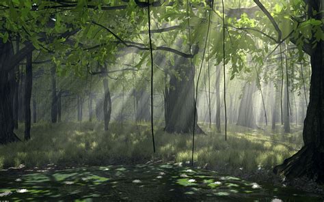 140 Nature Forest Wallpapers WallpaperSafari