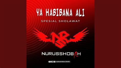 Ya Habibana Ali Cover Syifaun Nada Youtube Music