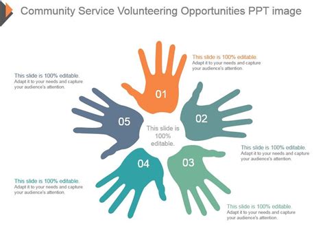 Community Service Volunteering Opportunities Ppt Image Presentation
