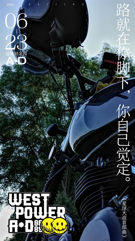 照片8