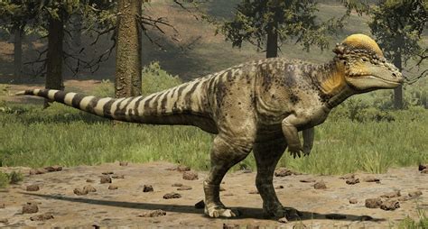 Pachycephalosaurus Path Of Titans Wiki