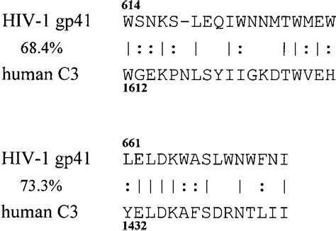 Sequence Comparison Of Hiv 1 Gp41 With Human C3 Download Scientific