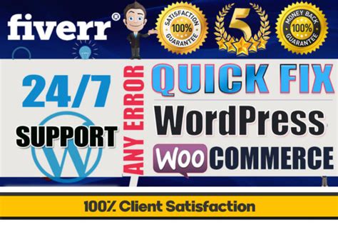 Fix Repair Any Wordpress Website Bug Site Errors And Website