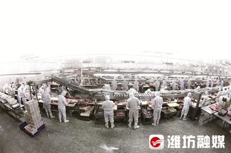 聚链成群，预制菜全产业链体系“诸城路径”正在崛起！ 山东预制菜产业联合会