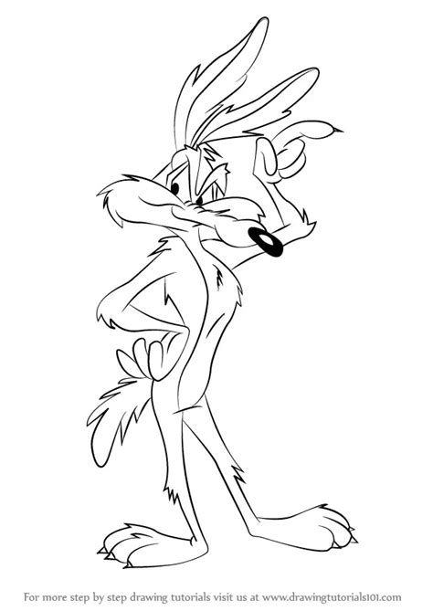 Learn How To Draw The Coyote Wile E Coyote Step By Step Drawing