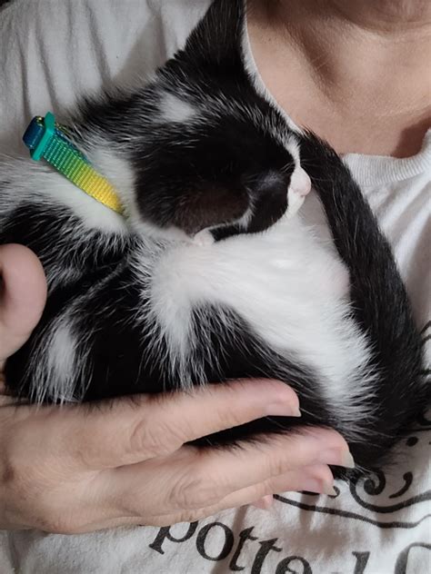 Handful Of Cute Reyebleach