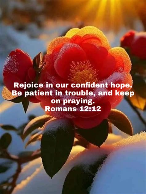 Romans 12 12 Rejoice In Our Confident Hope Be Patient In Trouble And