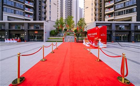 广州御溪世家项目再迎盛大交付 消费日报网