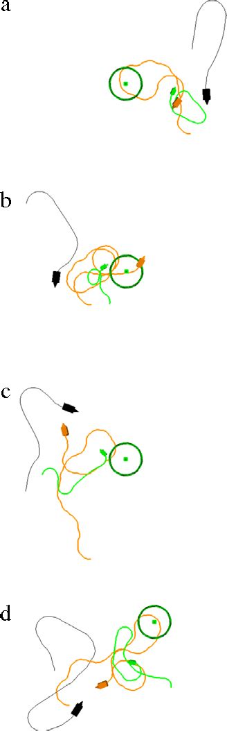 Figure 1 From Analysis And Solution Of A Predator Protector Prey Multi