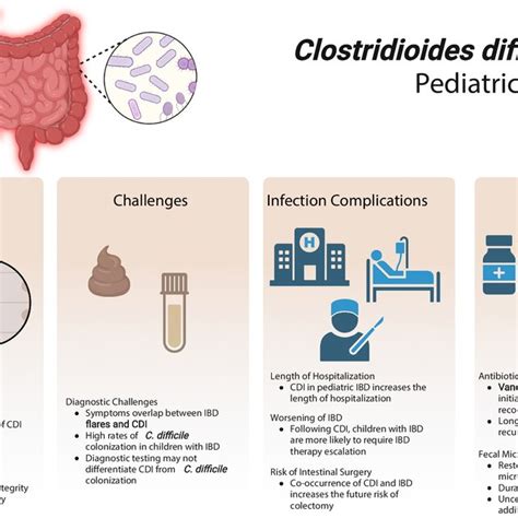 Overview Of C Difficile Infection In Pediatric Ibd Download