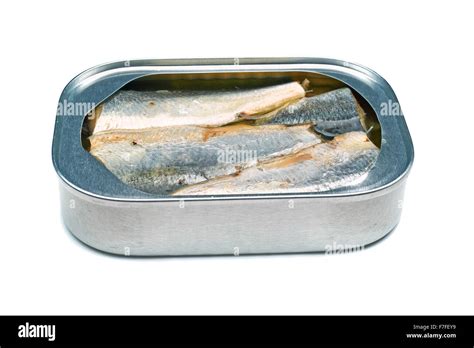 Beachcliff Sardines In Water At Dorla Walker Blog