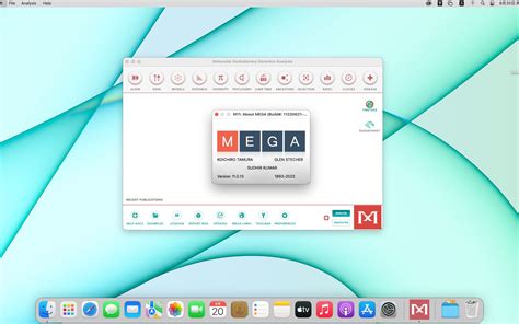 Mega 11 Mac 最新版 分子遗传分析软件 下载安装教程 小白安装无忧 到手即用 支持所有mac 包括m1 M2哔哩哔哩bilibili