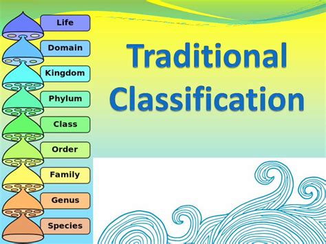 Pdf Lesson 71 Traditional Classification Dokumentips