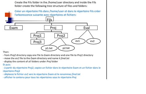 Solved Create The Fils Folder In The Home User Directory