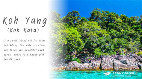 ตารางเรือไปเกาะหลีเป๊ะอัพเดทล่าสุดปี2568โทร0962284000 Ferry Advice