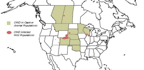 Yellowstone Faces Zombie Deer Disease Threat Dakoa