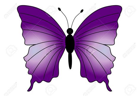 Purple Butterfly Drawing At Getdrawings Free Download