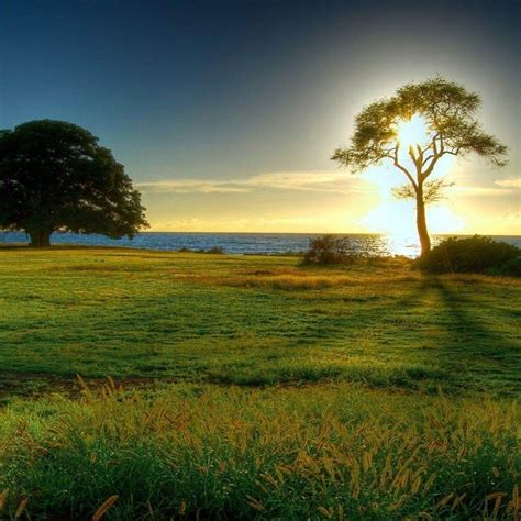 Software Engineering Solution Youtube