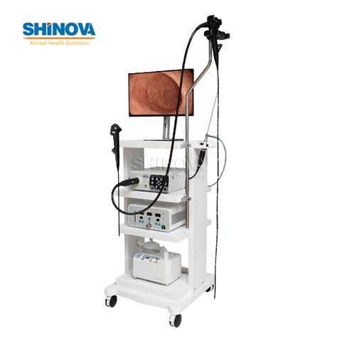 Vis 310 Gastroscopy Video Processor Laparoscopy Video Processor