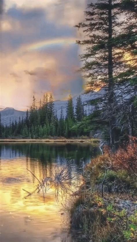 Sex In Nature S King Ice Apps