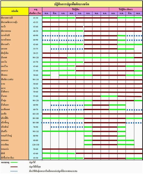 ปฏิทินการปลูกผัก ปลูกผัก การออกแบบสวนผัก การปลูกพืช