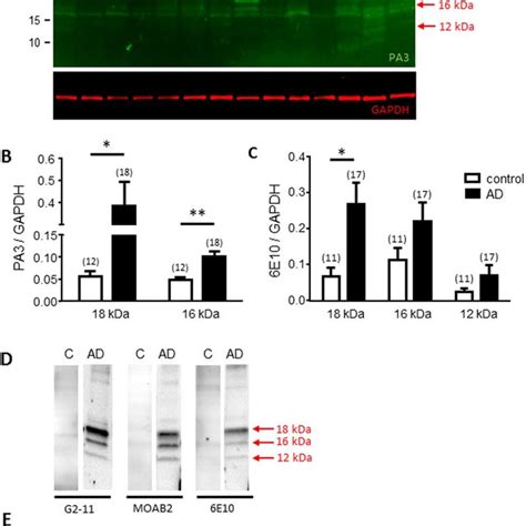 Effect Of Apoe Genotype On The Quantity Of Aβ Forms In The Cortex Of Ad