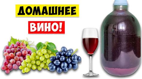 ДОМАШНЕЕ ВИНО из своего выращенного винограда Простой Рецепт Youtube