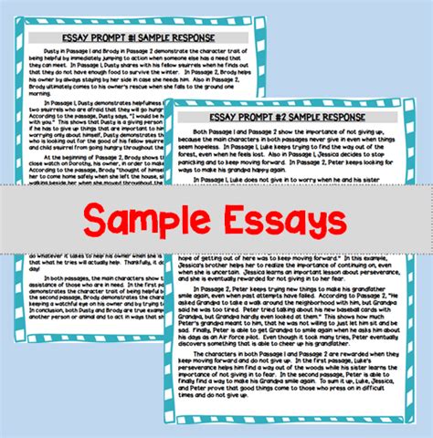 Writing A 5 Paragraph Essay Organizers Passages And Prompts Made
