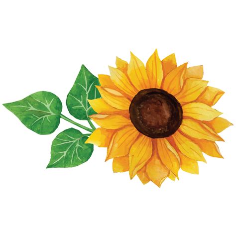 Sunflower Clip Art Bouquet At Jessica Stock Blog
