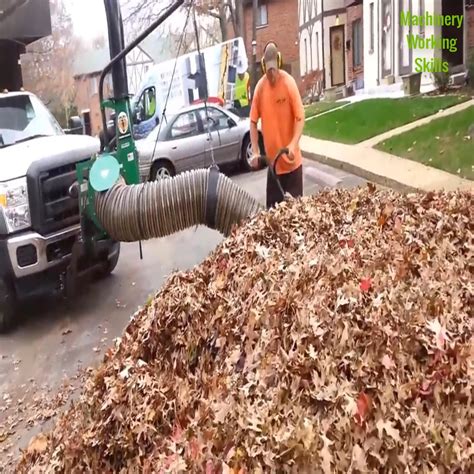 Leaf Removal Service Leaf Removal Service By Machinery Working Skills