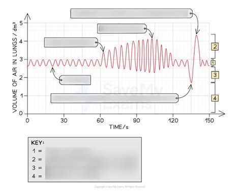 Diagram Of Spirometry Traces Quizlet